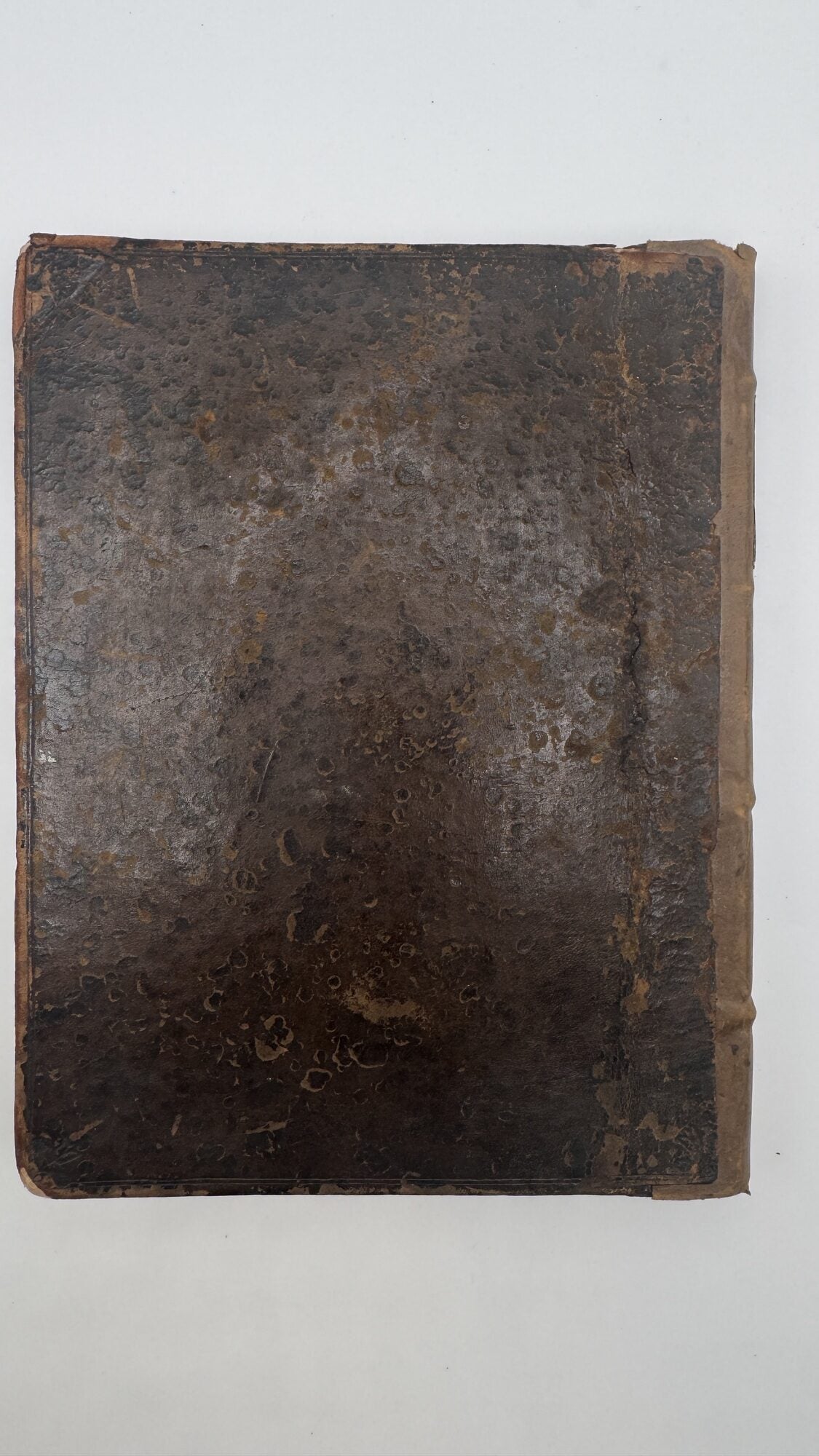 The Irish Rebellion of 1641 by Sir John Temple: Very Good Full calf ...