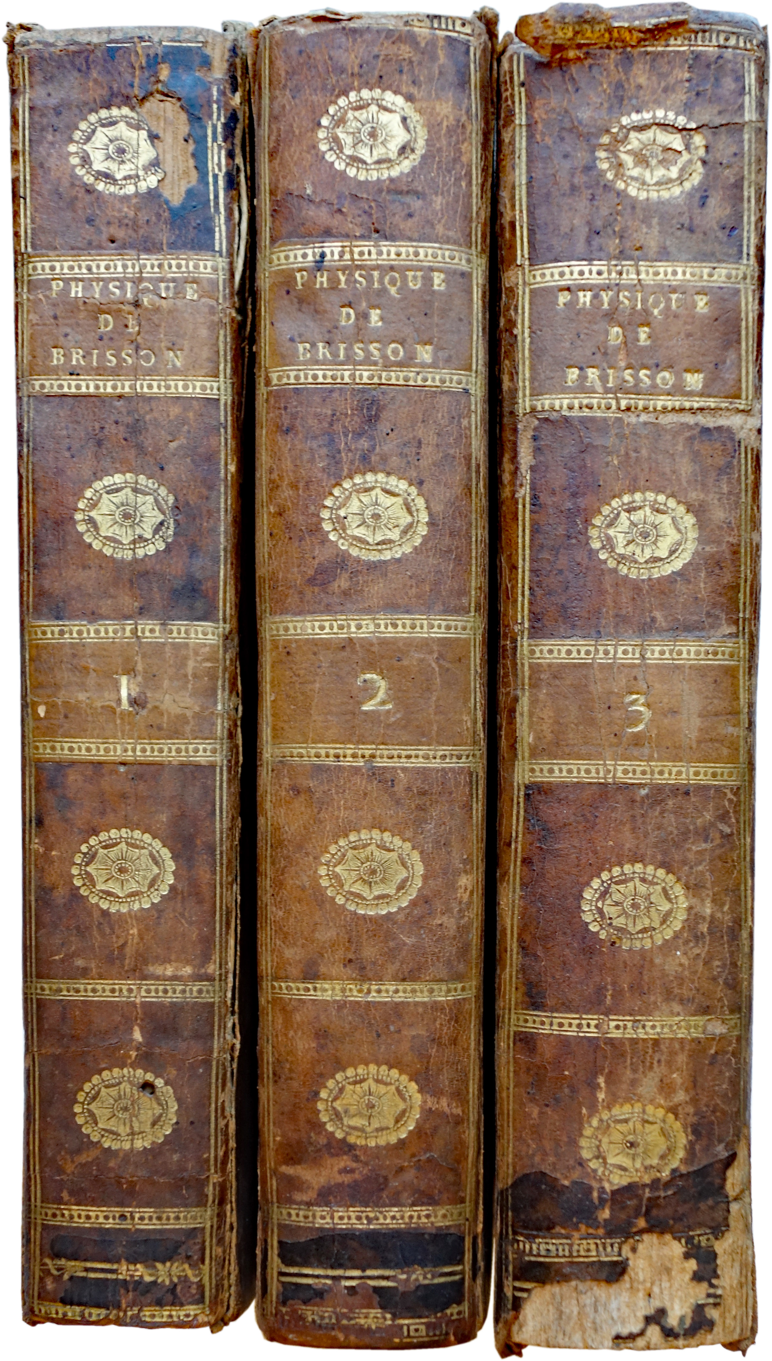 Traité élémentaire ou principes de physique, Fondés sur les ...