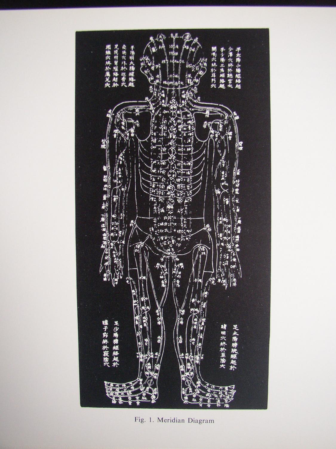 The Book of Nei Kung da C.K. Chu: Very Good Hardcover (1987) 1st ...