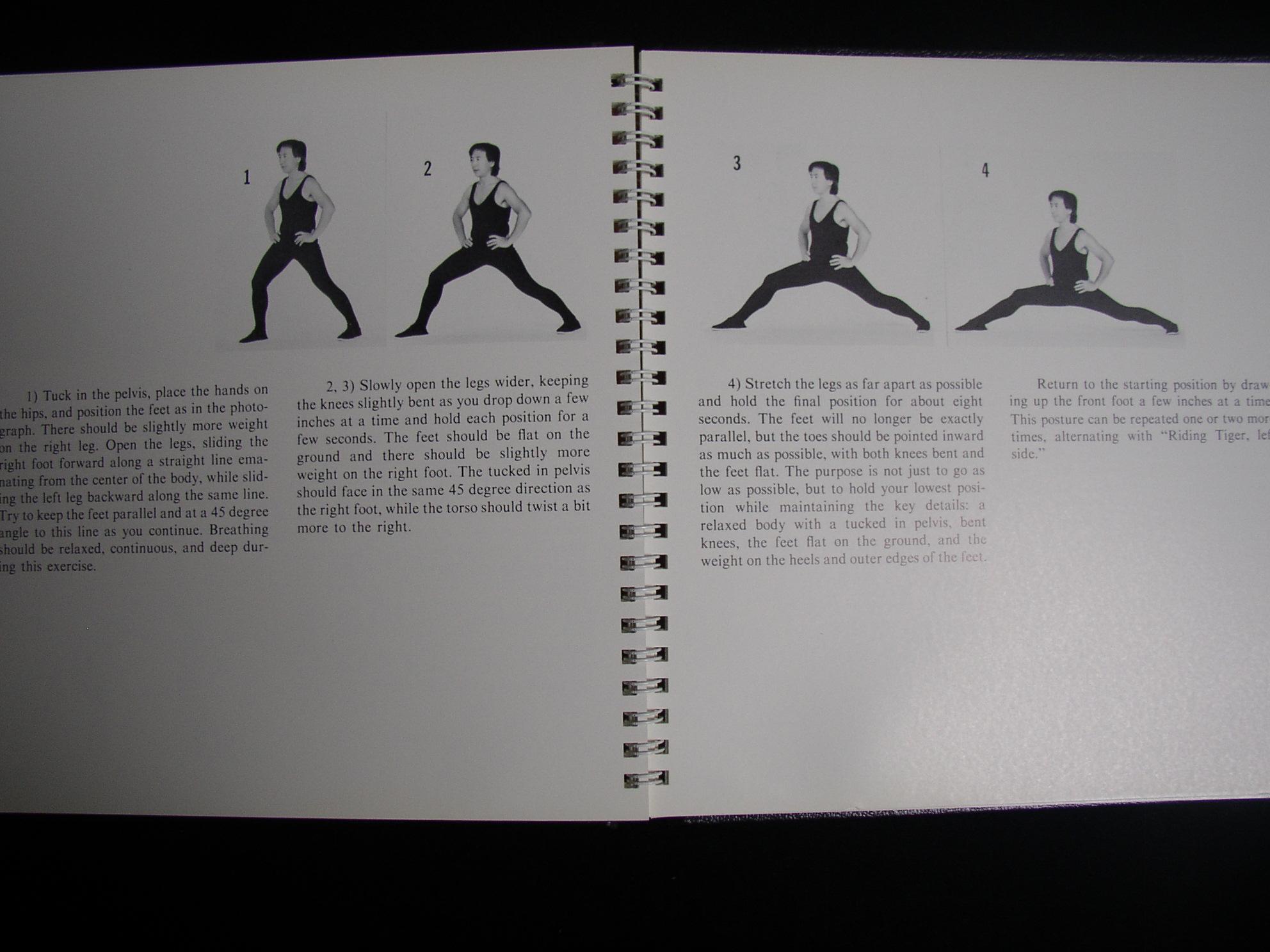 The Book of Nei Kung da C.K. Chu: Very Good Hardcover (1987) 1st ...