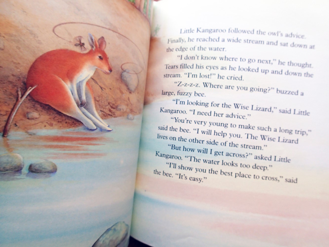 LITTLE KANGAROO FINDS HIS WAY : (English edition of KANGOUROU, PETIT ...