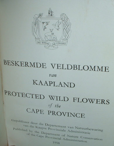 BESKERMDE VELDBLOMME Van KAAPLAND , Protected Wild Flowers of Cape ...