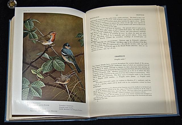 Birds of the Atlantic Islands. by Bannerman, David Armitage and W. Mary ...
