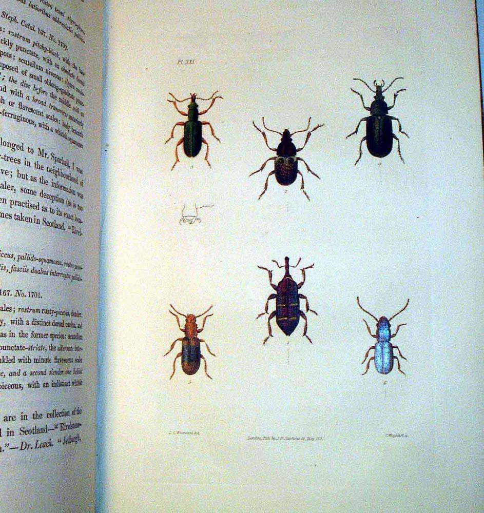 Illustrations of British Entomology: A Synopsis of Indigenous Insects ...