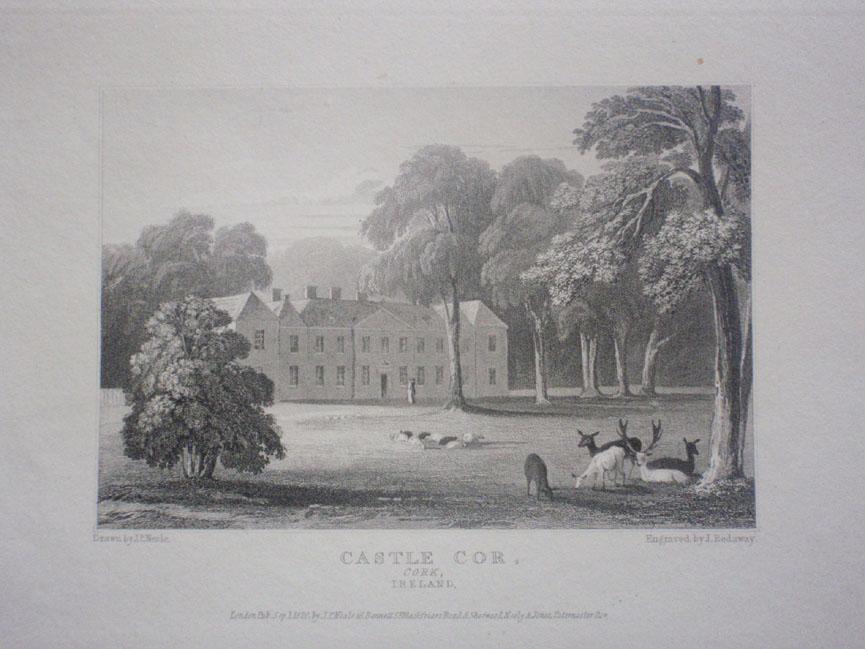 Original Antique Engraving Illustrating a View of Castle Cor in Cork ...