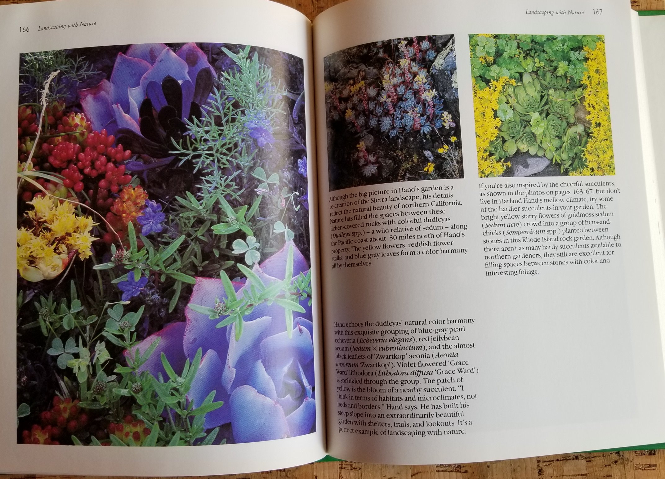 Landscaping With Nature. Using Nature's Design to Plan Your Yard. by ...