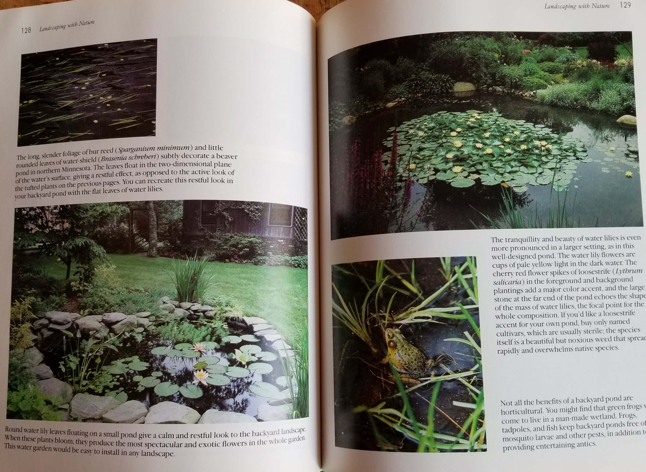 Landscaping With Nature. Using Nature's Design to Plan Your Yard. by ...