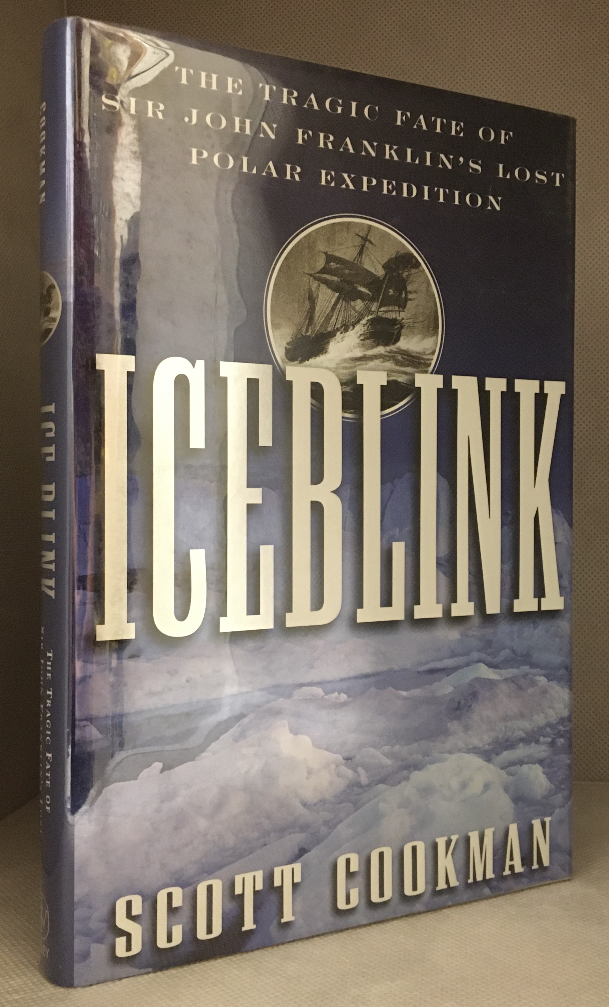 Ice Blink; The Tragic Fate of Sir John Franklin's Lost Polar Expedition ...