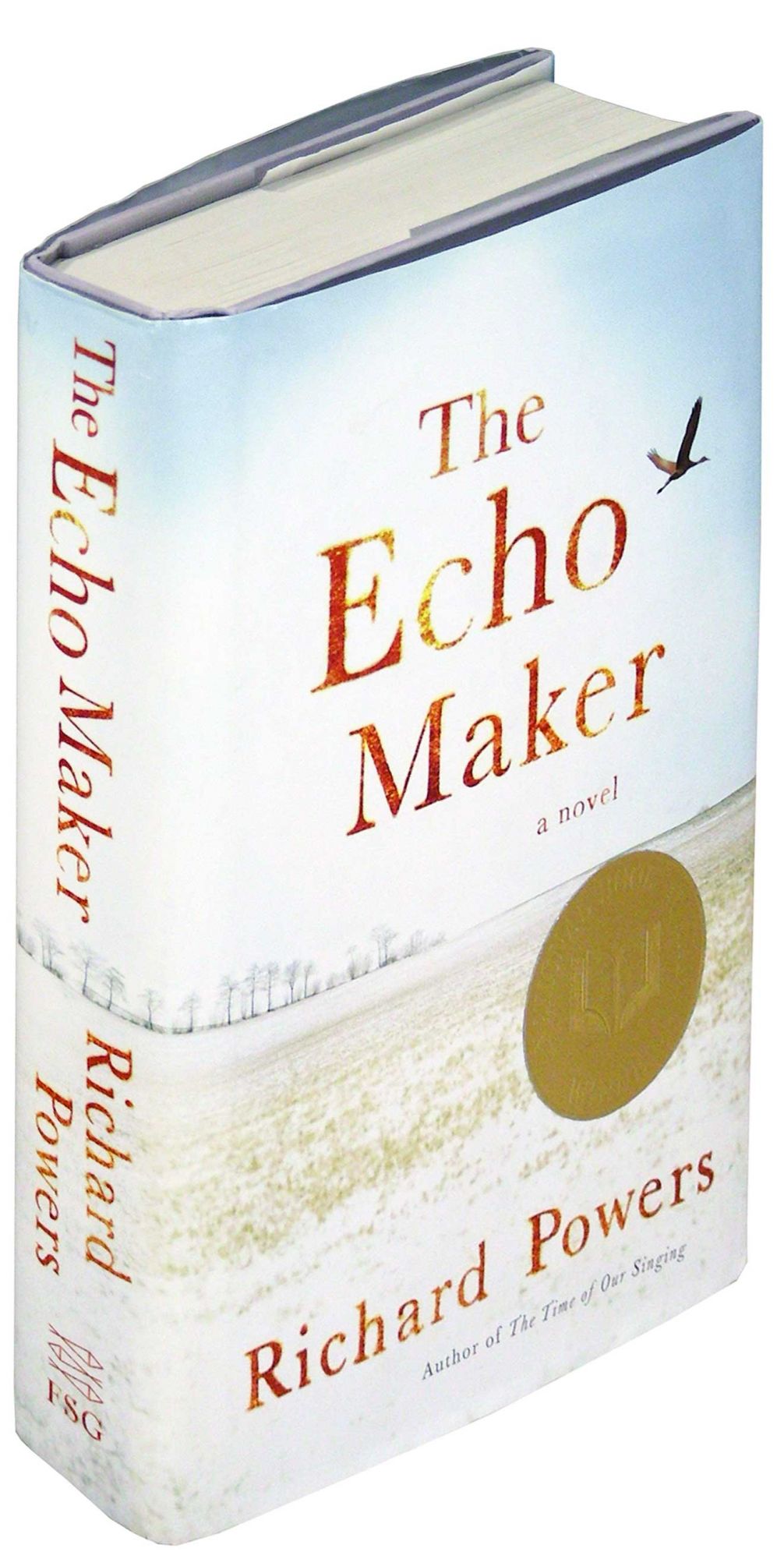 The Echo Maker by Powers, Richard: Near Fine in Fine Dust Jacket ...