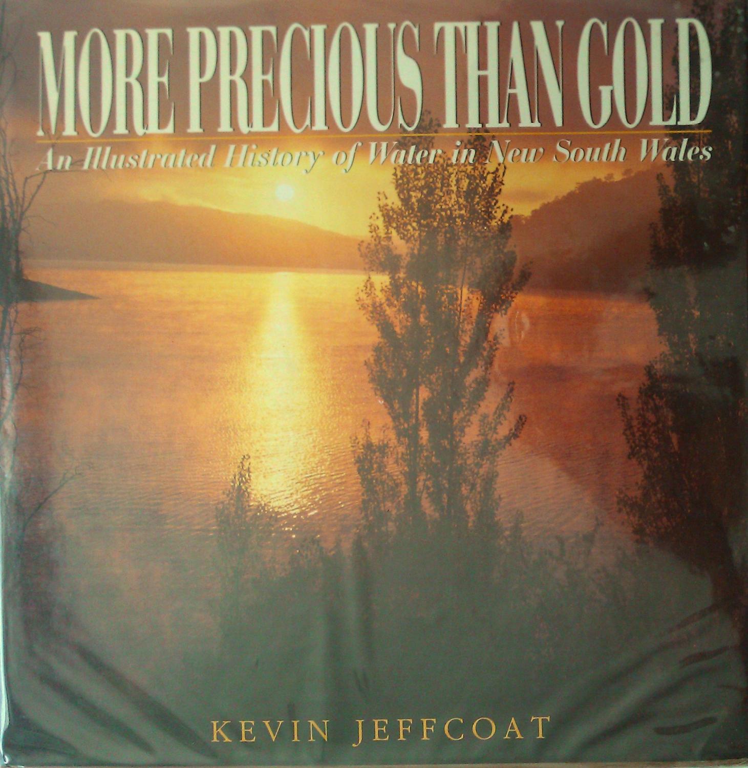 More Precious Than Gold : An Illustrated History of Water in New South ...