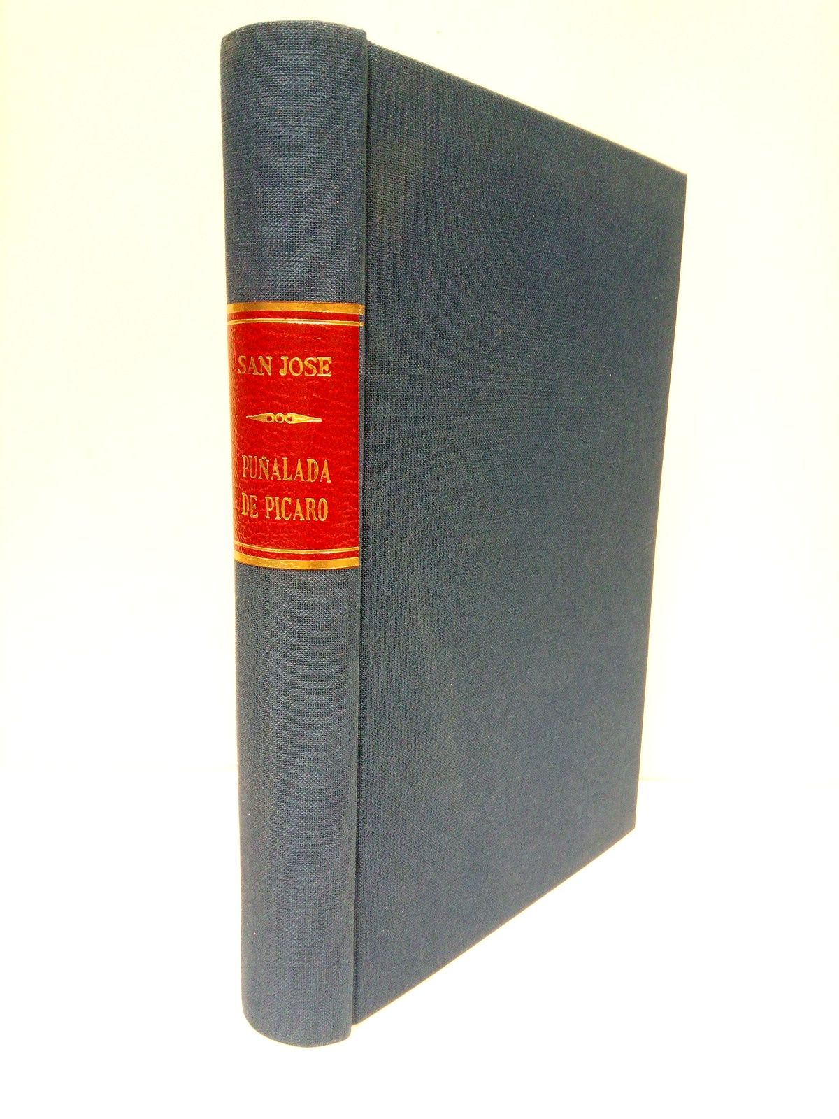 Puñalada de pícaro (Novela al alcance de todos y para provecho de pocos ...