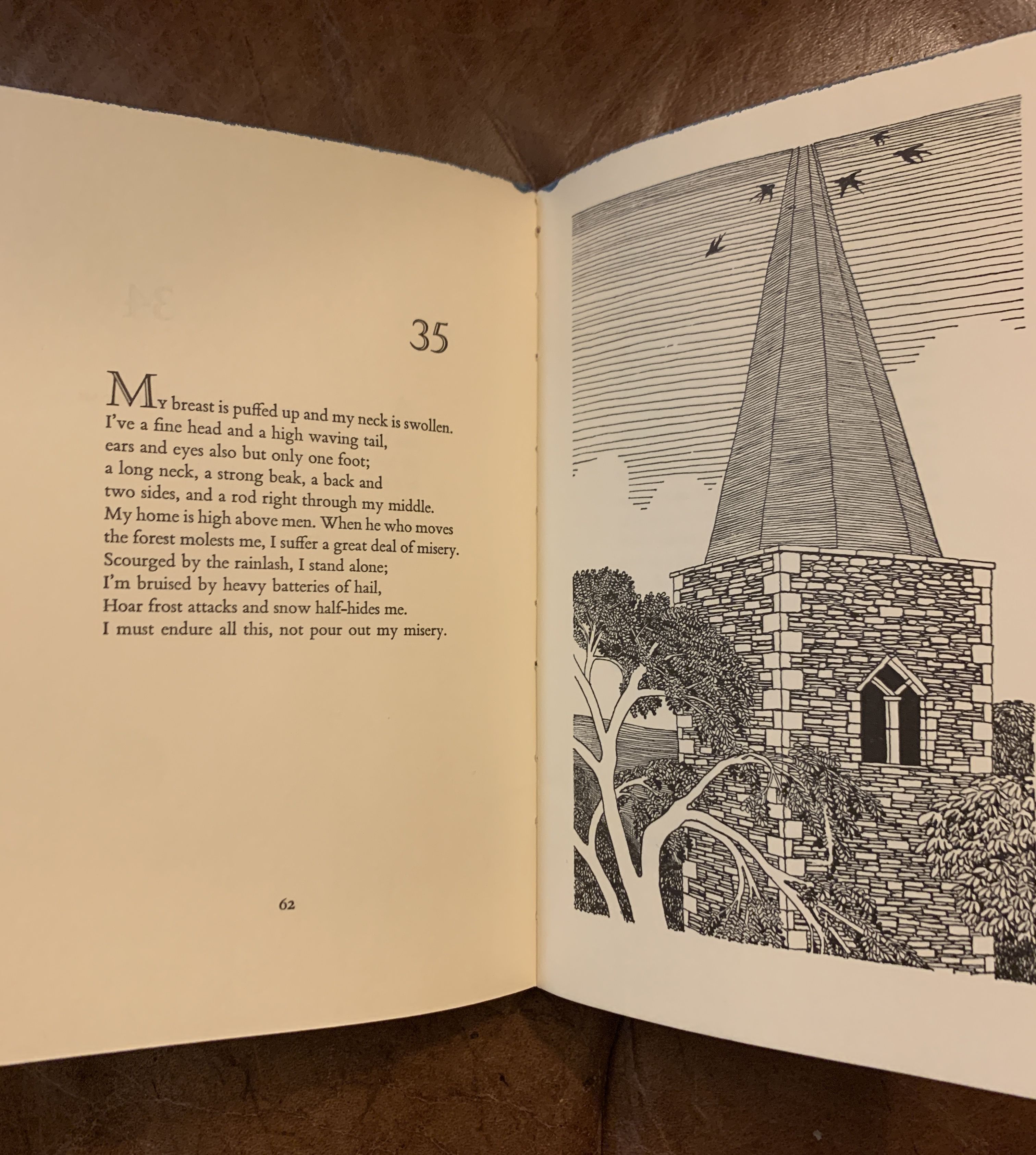 Storm and other Old English Riddles by Kevin Crossley-Holland: Very ...