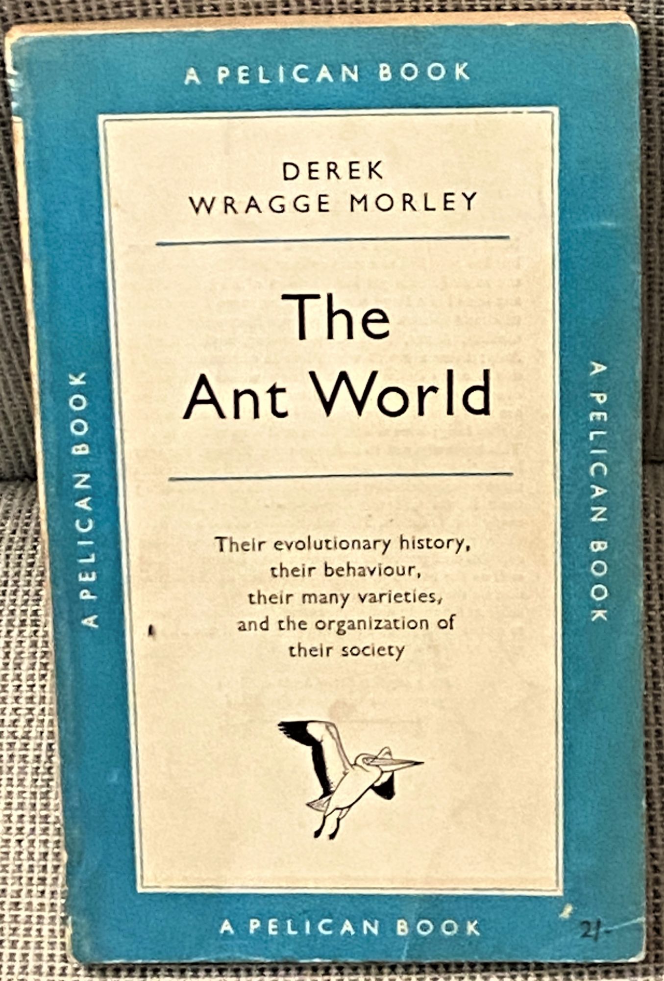 The Ant World by Derek Wragge Morley: (1953) | My Book Heaven