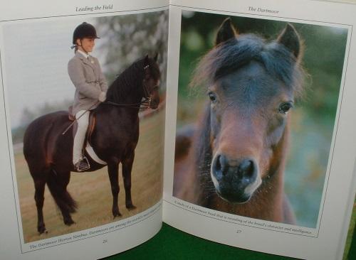 LEADING THE FIELD British Native Breeds of Horses and Ponies by EDWARDS ...