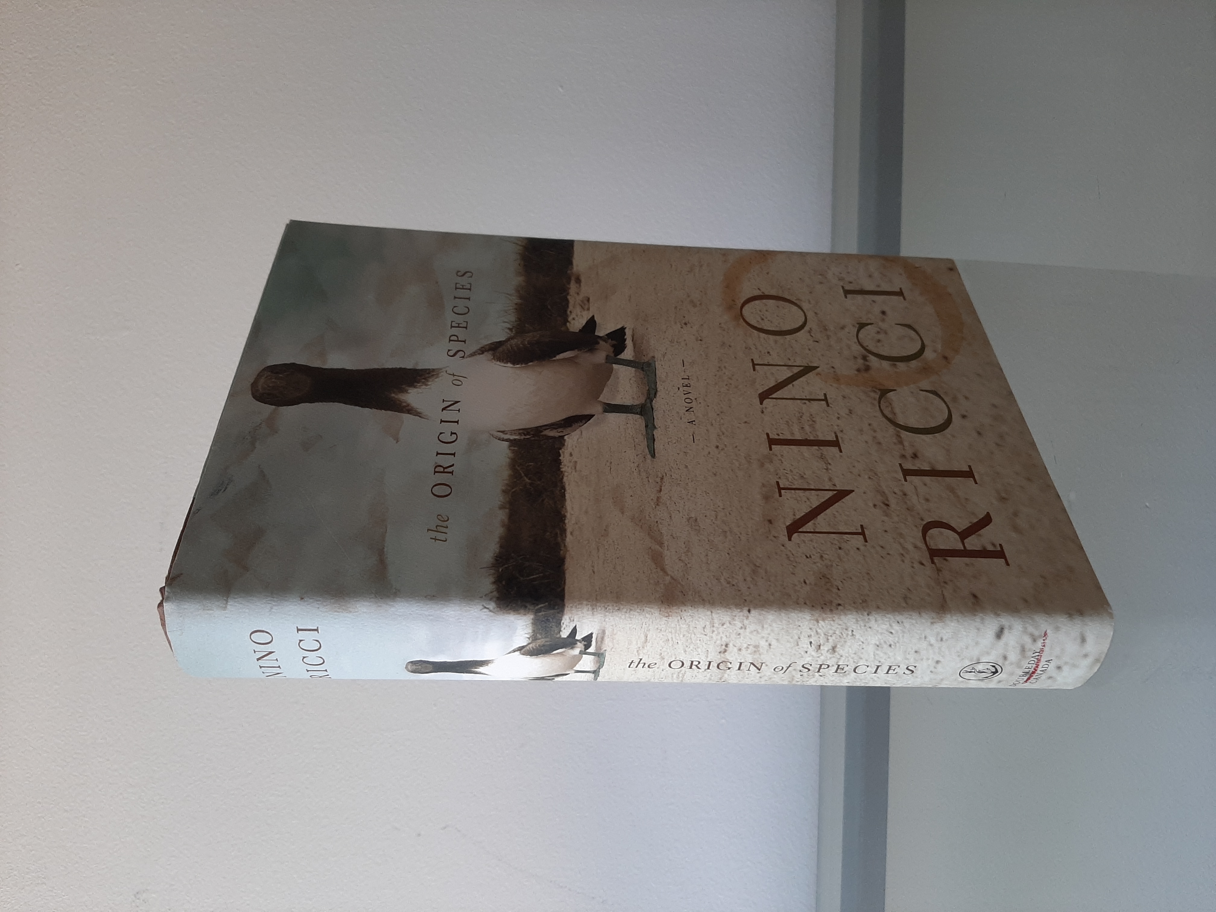 The Origin of The Species by Nino Ricci: (2008) First Edition., Signed ...