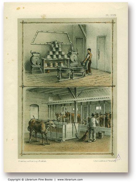 COUNTRY LIFE & FARMING: Original 19th Century Tinted Lithograph Print ...