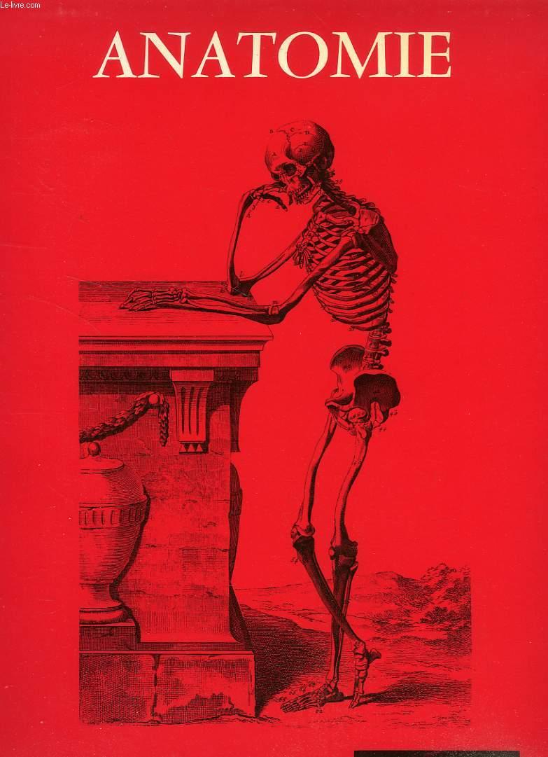 ANATOMIE (PLANCHES D') by COLLECTIF: bon Couverture souple (1978) | Le ...