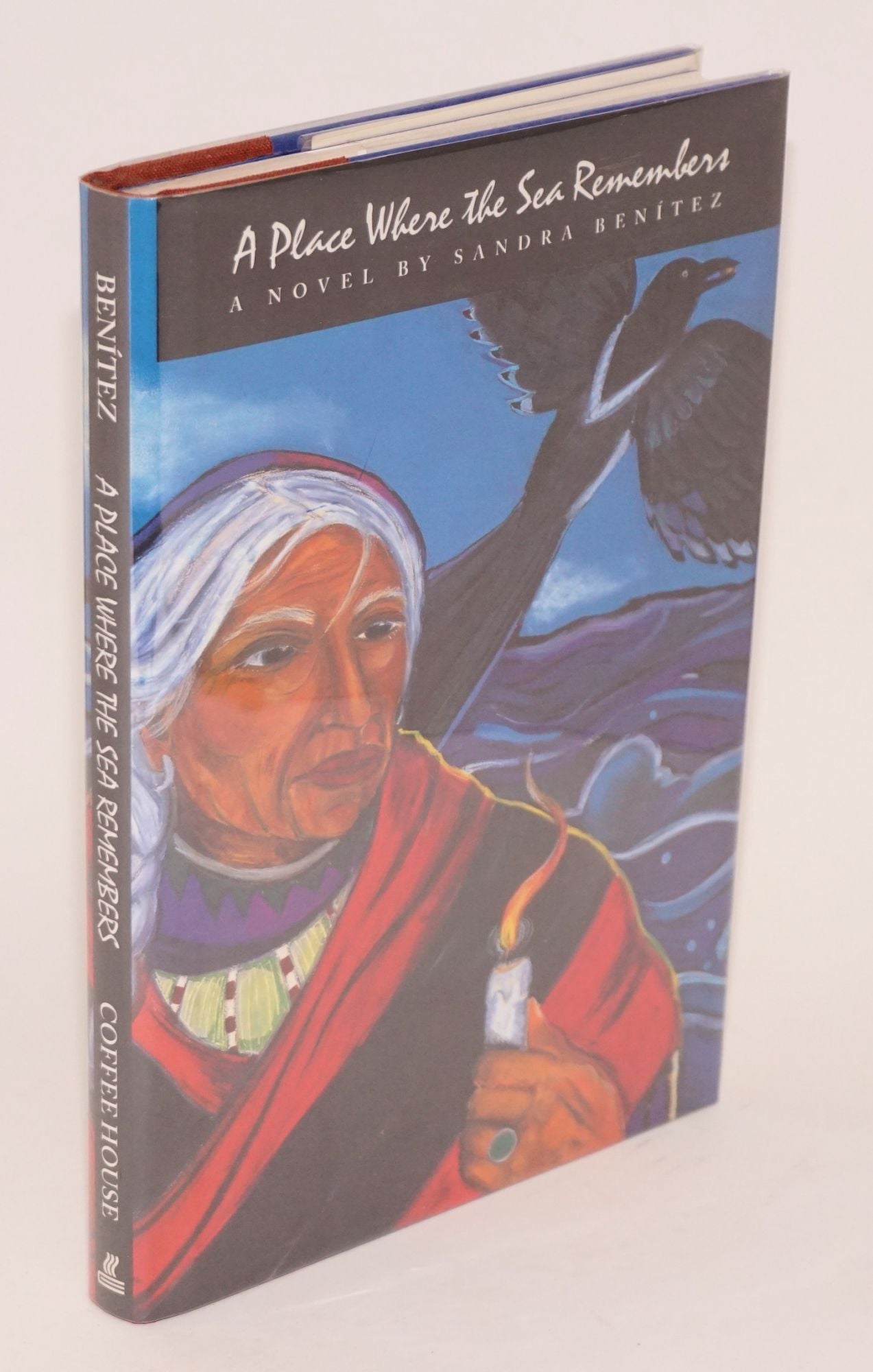 A Place Where the Sea Remembers: a novel by Benítez, Sandra: Hardcover ...