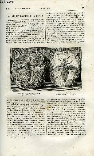 La nature n° 81 - Les insectes fossiles de la France par E. Oustalet ...