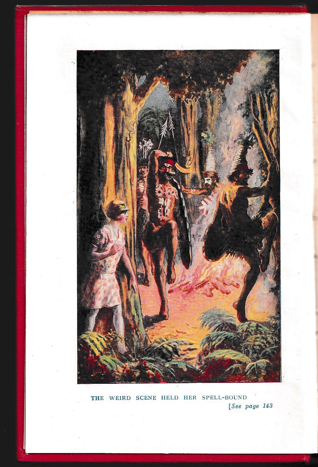 Bungoona: An Australian Story. With illustrations by R. B. Ogle by ...