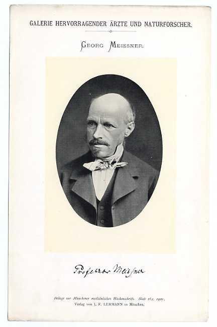 Portrait, Brustbild, Photographie, Lichtdruck 8,5 x 12 cm. von Basch ...