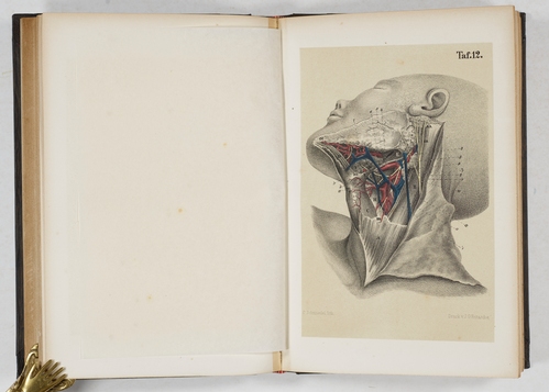 Chirurgische Anatomie der Arterienstämme und Fascien neu bearbeitet von ...