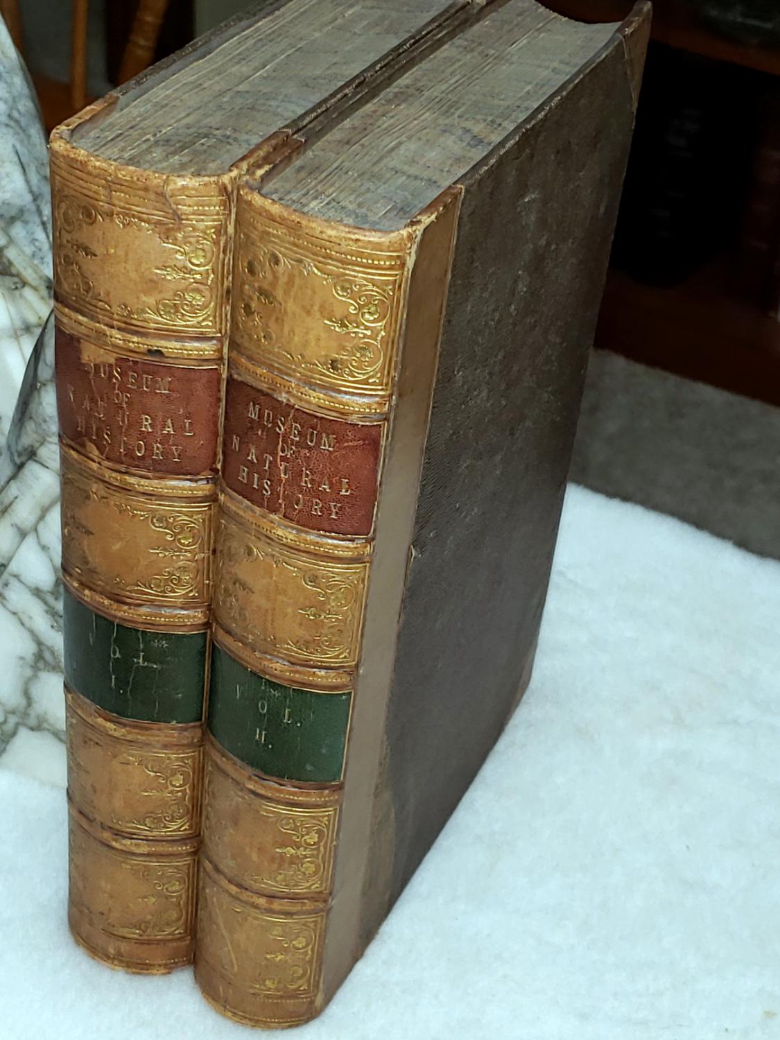 The Museum of Natural History; being a Popular Account of the Structure ...