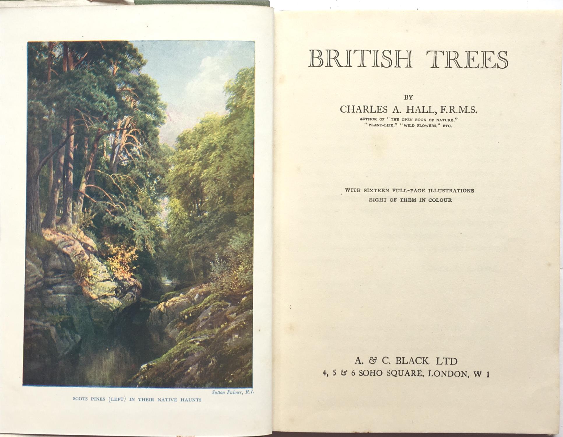 British Trees by Hall, Charles A: Very Good Original Cloth (1949) First ...