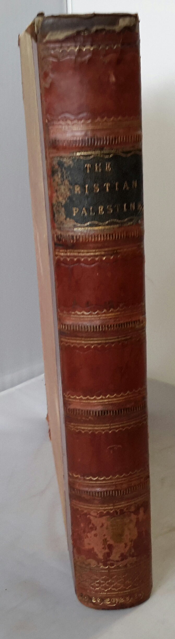 The Christian in Palestine; or, Scenes of Sacred History, Historical ...