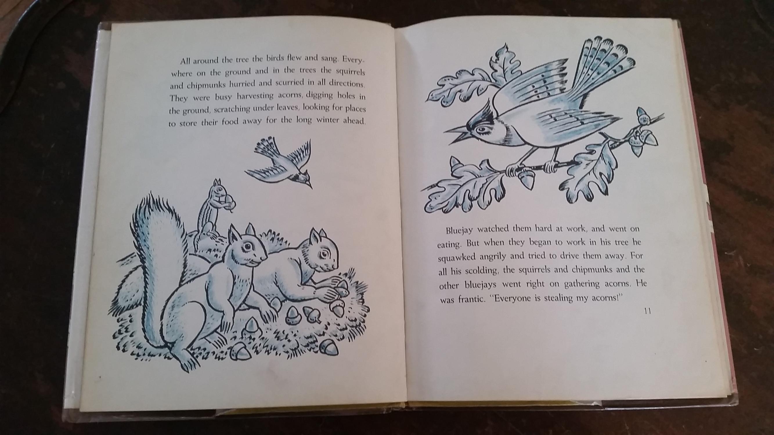 The Acorn Tree by Angelo, Valenti: Good Hardcover (1958) | Red Owl Books