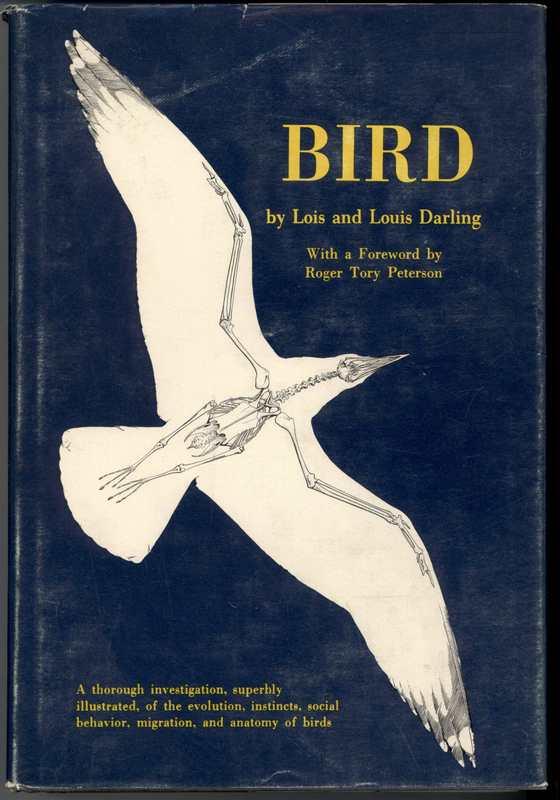 BIRD by Darling, Lois & Louis, Illustrated by Authors: Fine Hardcover ...