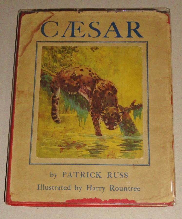 Caesar - the Life Story of a Panda Leopard de Russ, Patrick (Aka ...