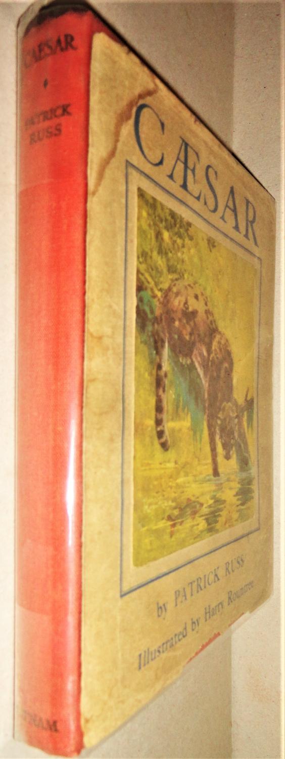 Caesar - the Life Story of a Panda Leopard by Russ, Patrick (Aka ...