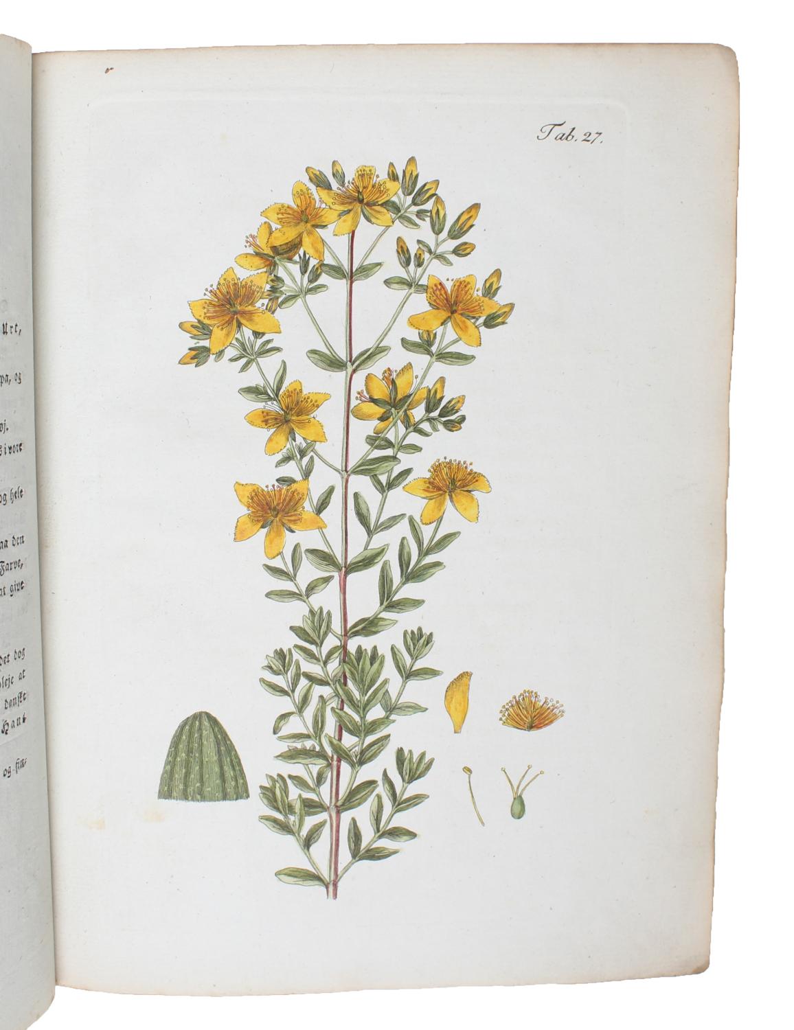 Den danske Flora, eller naturlige Afbildninger af danske Planter ...