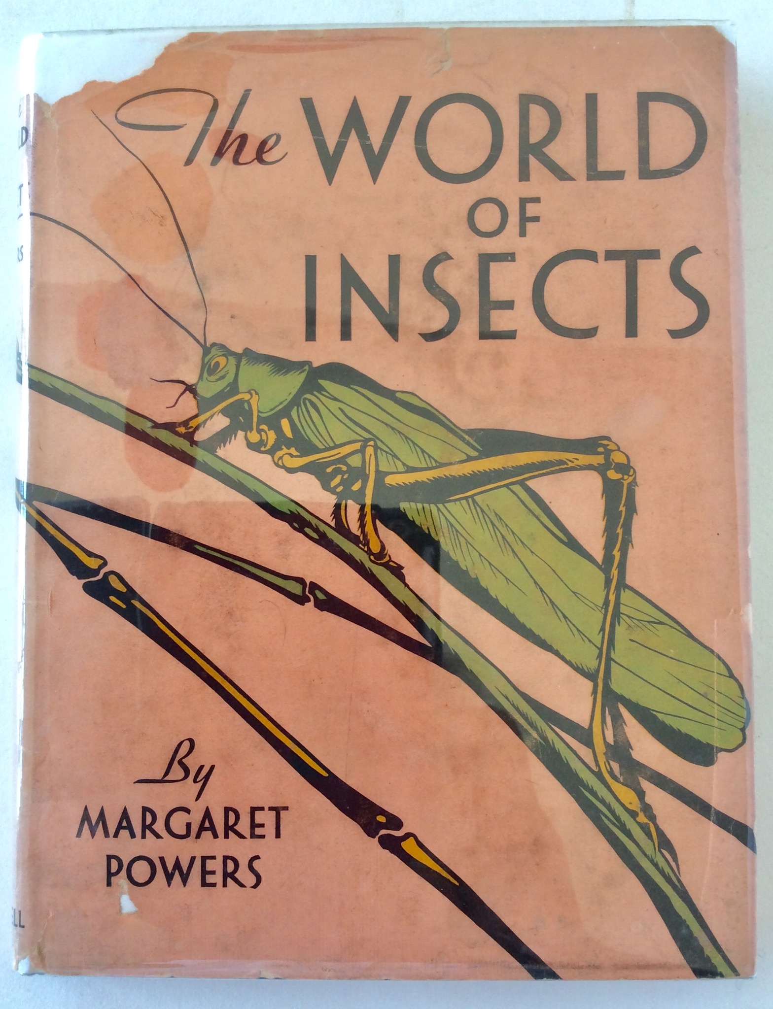 The World Of Insects by Powers, Margaret: Very Good Hardcover (1931 ...