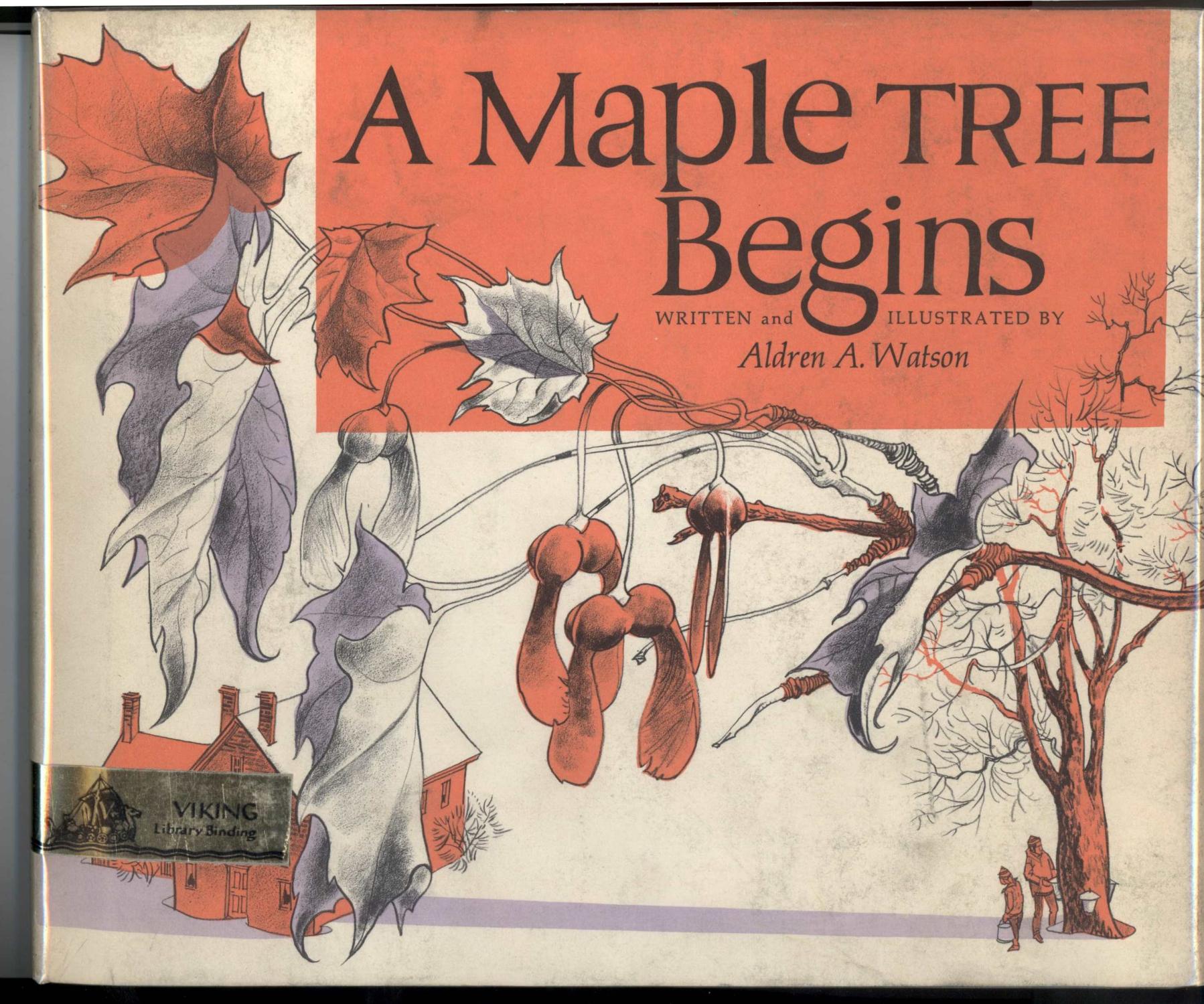 A MAPLE TREE BEGINS by Watson, Aldren.: Fine Hardcover First Edition ...