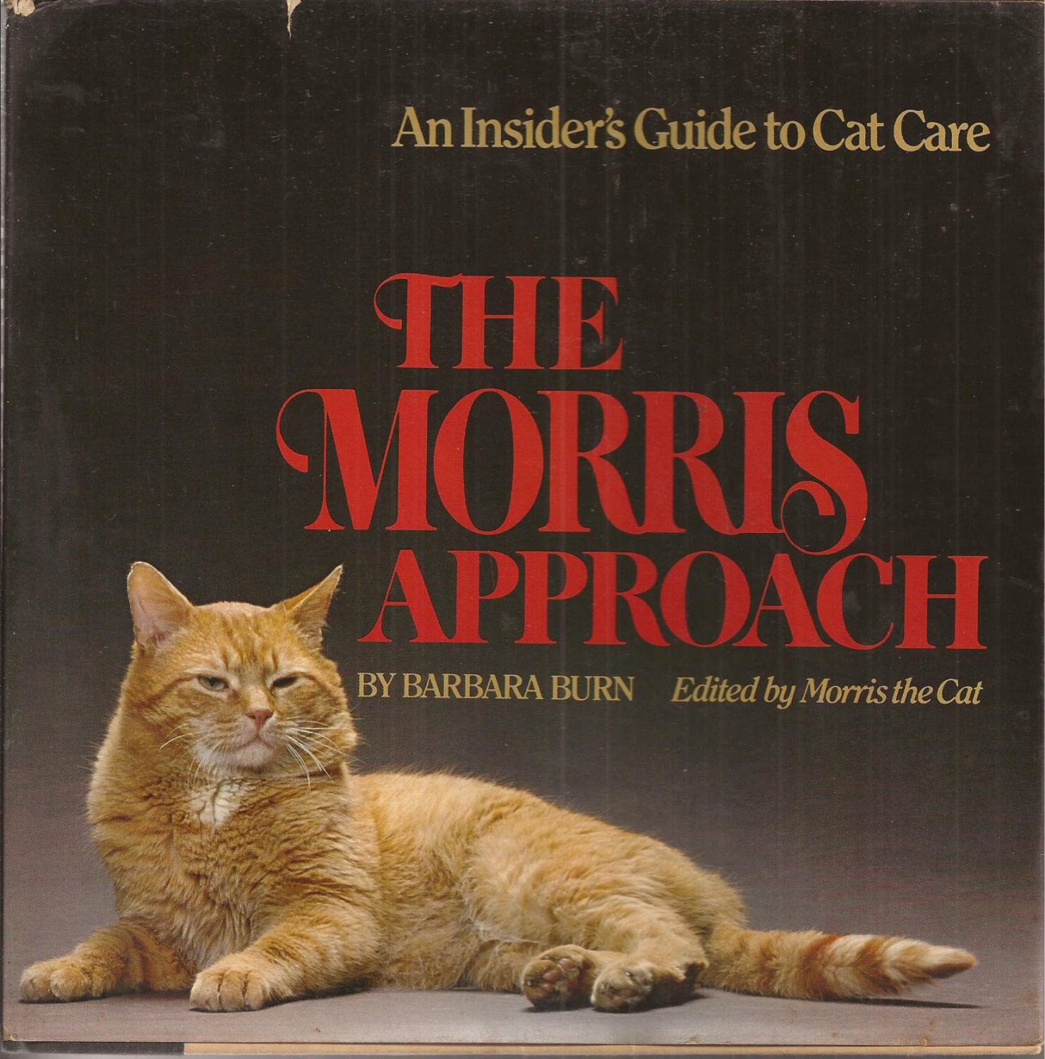 Morris The Cat | ppgbbe.intranet.biologia.ufrj.br