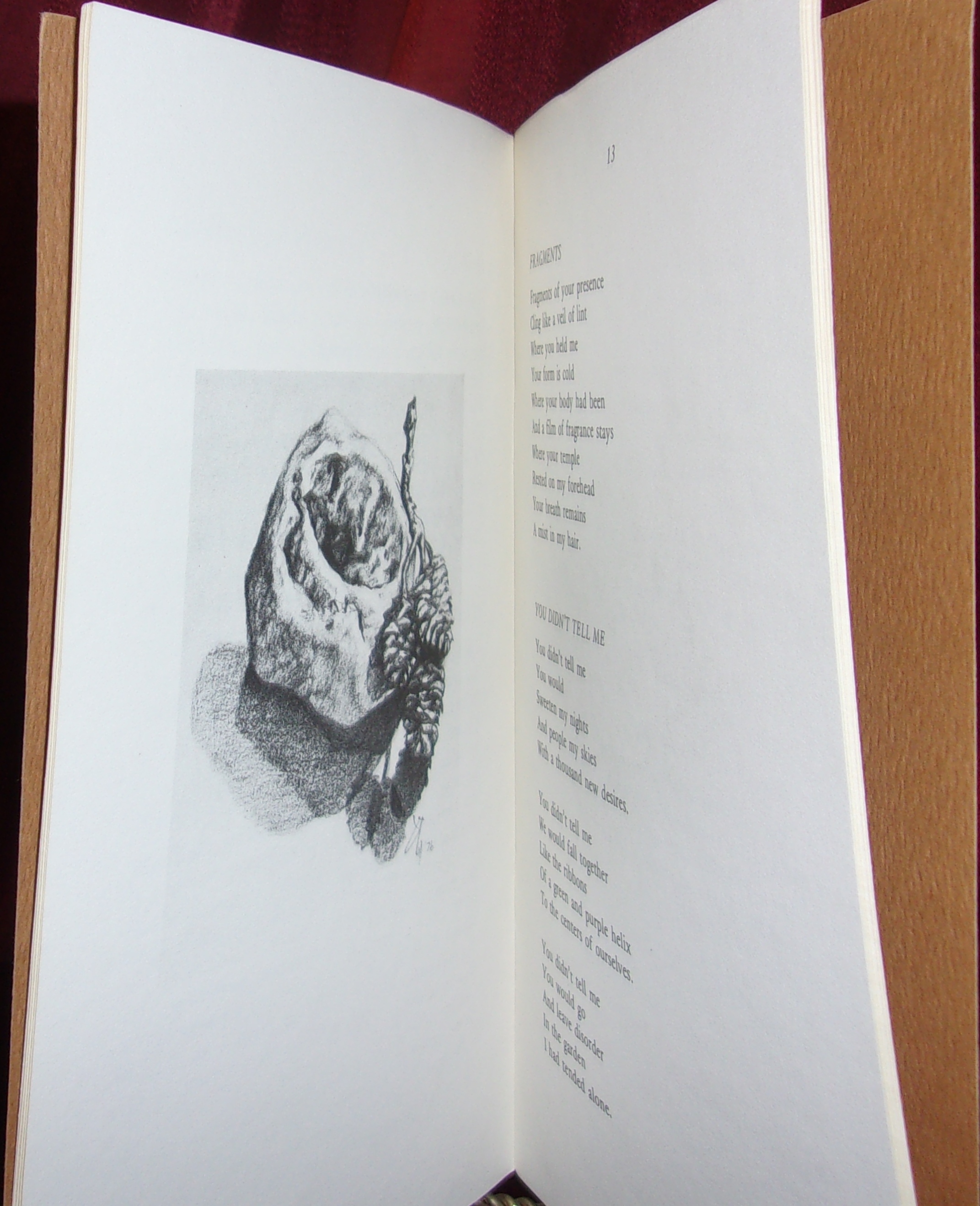 THE ENCLOSED GARDEN by Pope, Penelope: Near Fine Soft cover (1977) 1st ...