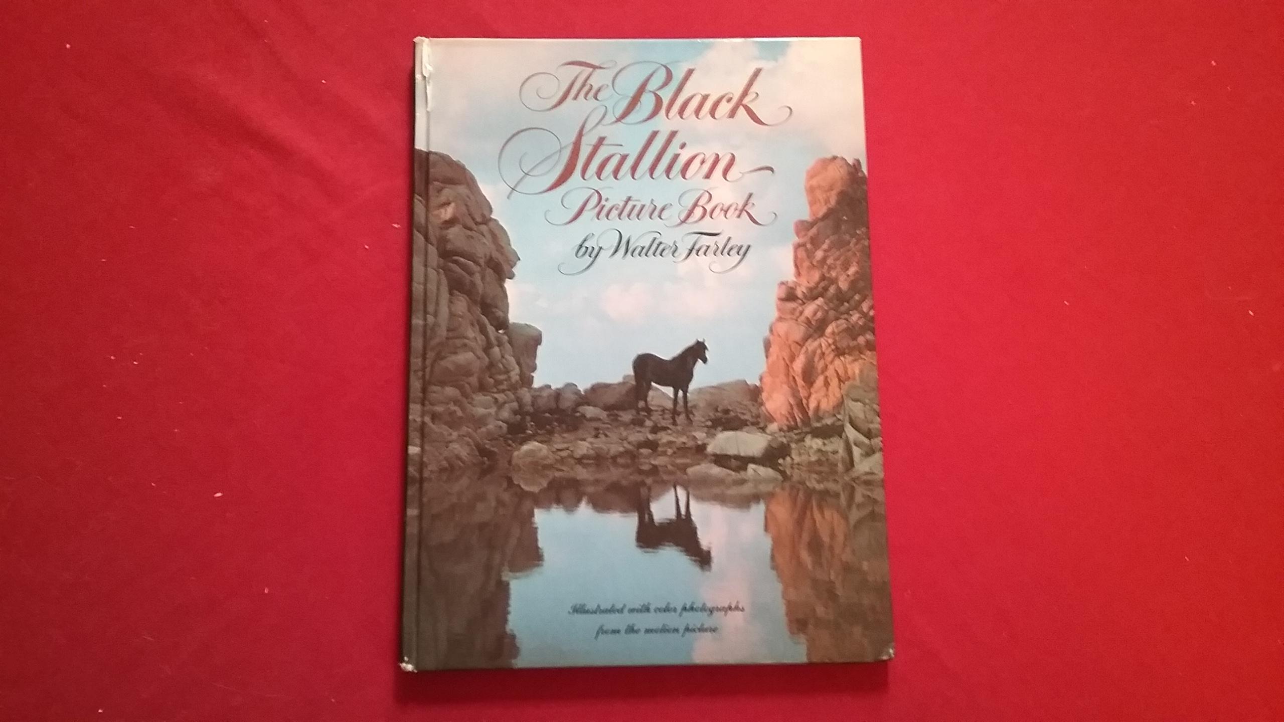The Black Stallion Book Summary