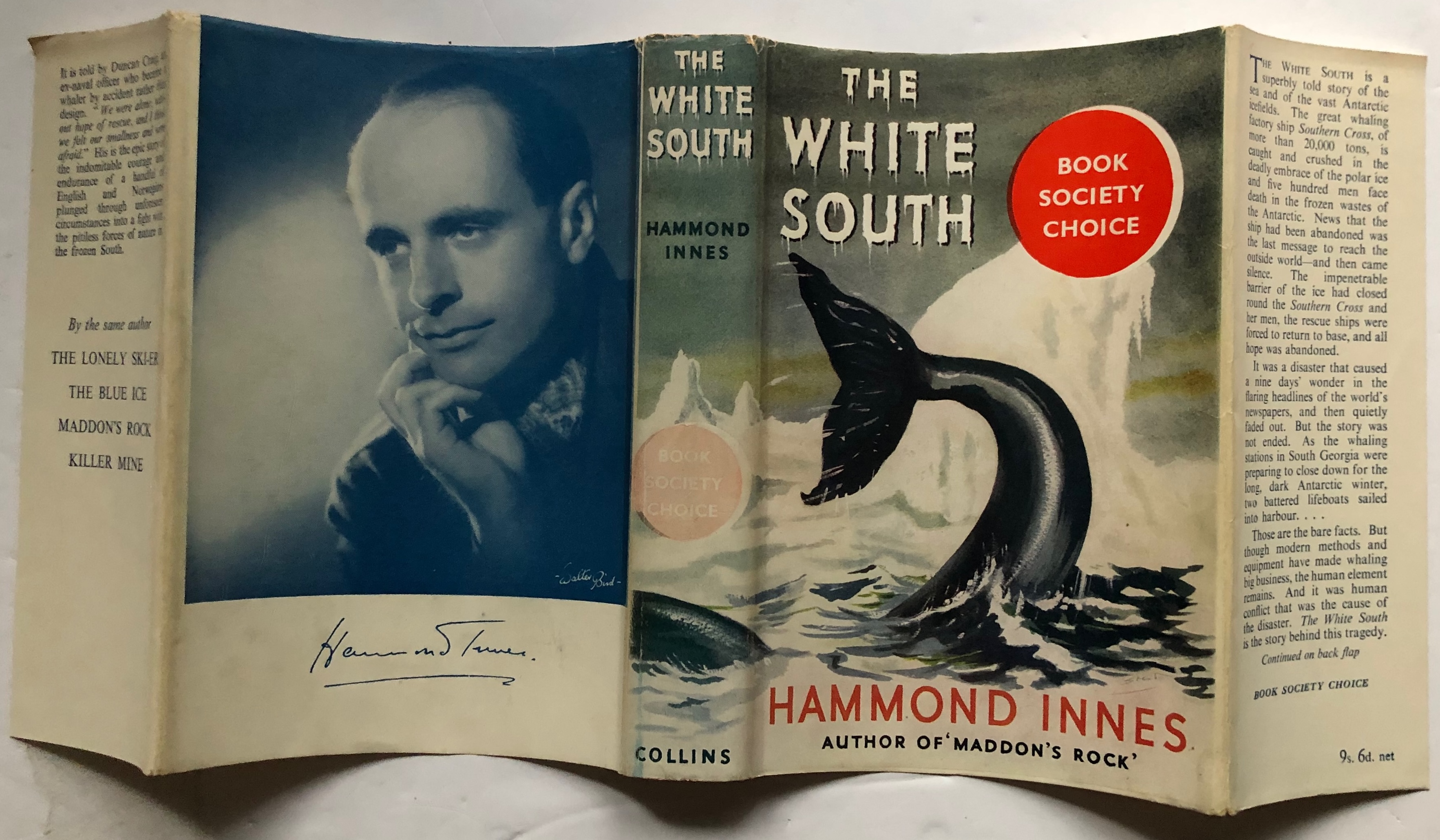 The White South by Innes Hammond: Near Fine Hardcover (1949) 1st ...
