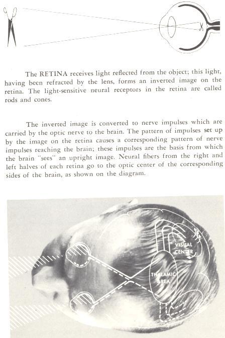 Human Engineering Guide for Equipment Designers. [Human engineering, a ...