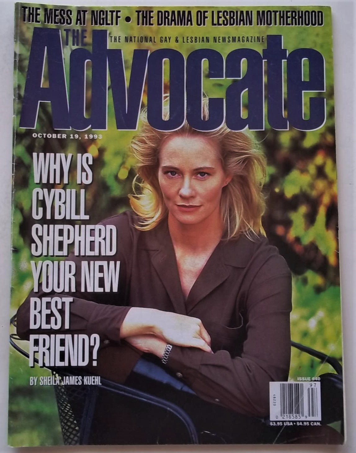 The Advocate (Issue No. 640, October 19, 1993): The National Gay and ...