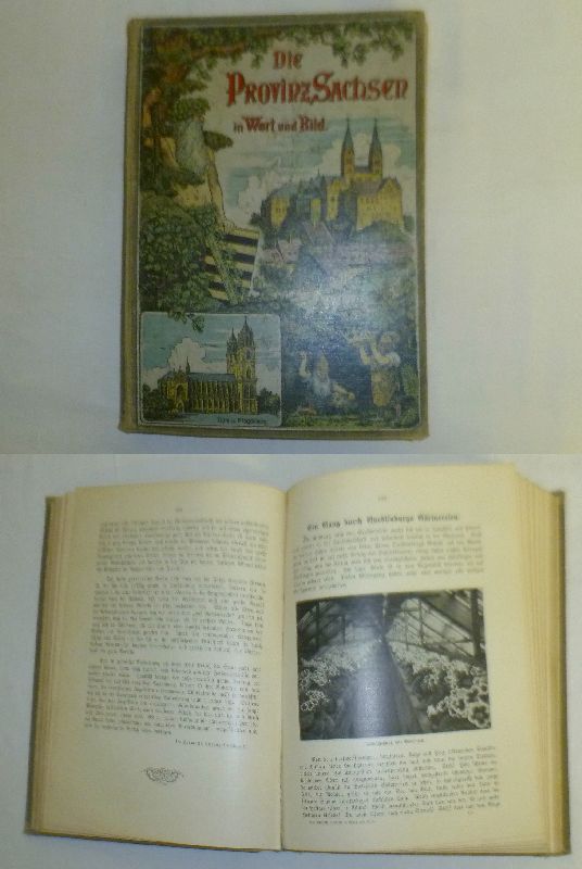 Die Provinz Sachsen in Wort und Bild 1. Band von Pestalozziverein der ...
