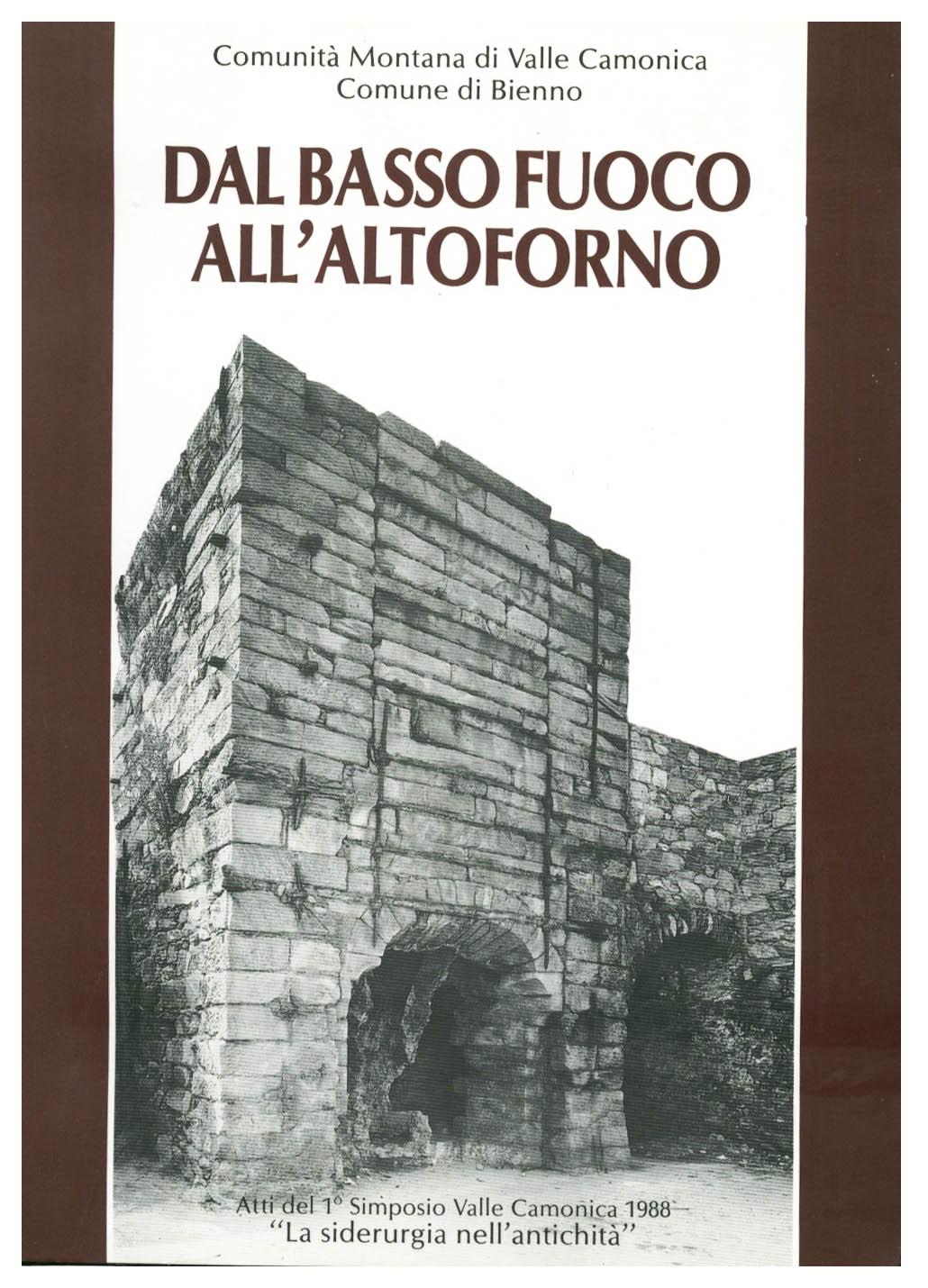 DAL BASSO FUOCO ALL'ALTOFORNO. ATTI DEL 1º SIMPOSIO VALLE CAMONICA 1988 ...