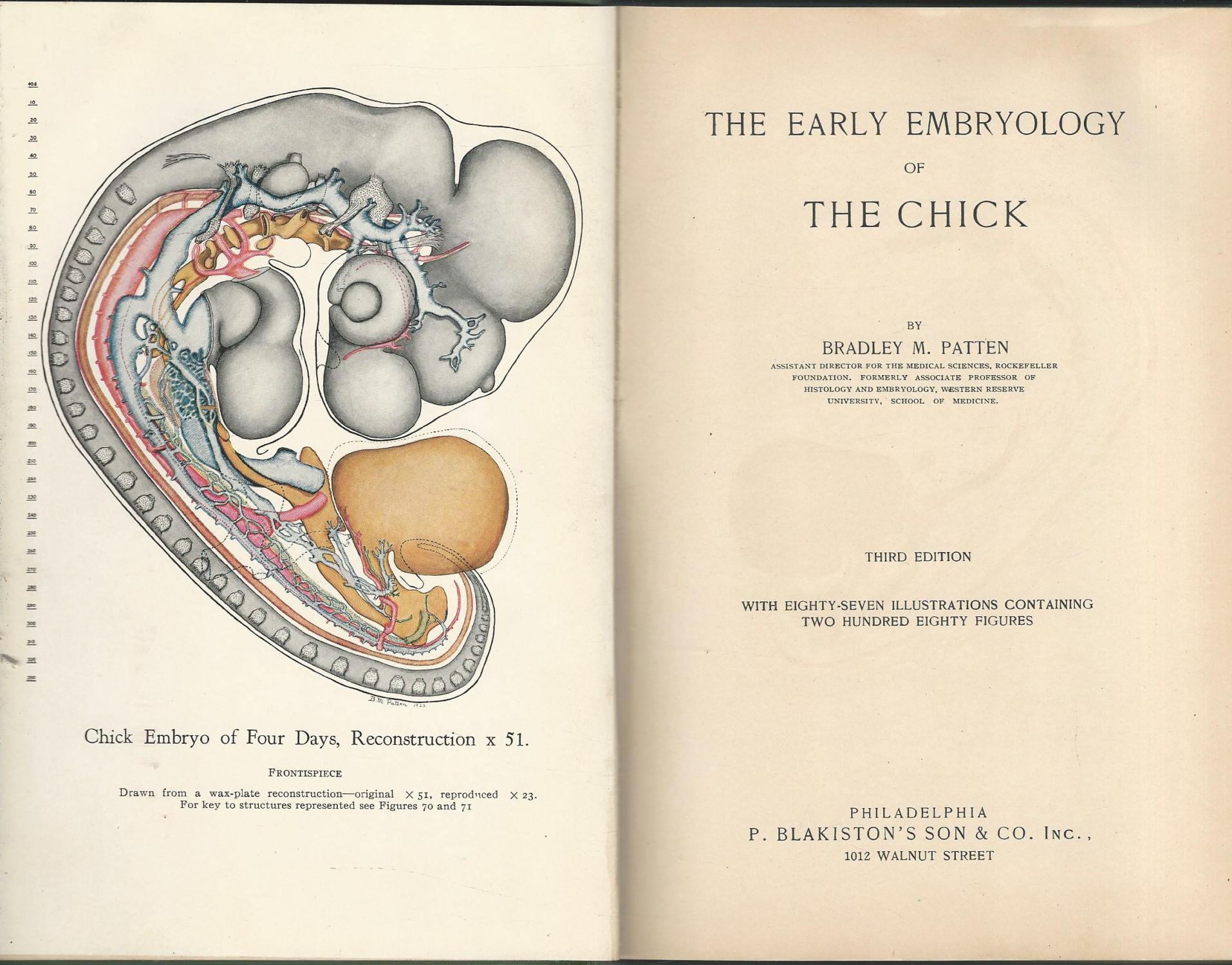 The Early Embryology of the Chick by Patten, Bradley M: Very Good ...