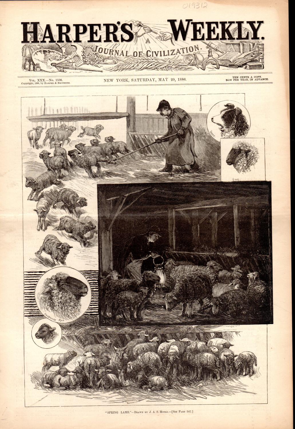 ENGRAVING: "Spring Lamb". from Harper's Weekly: May 29, 1886 by Monks ...