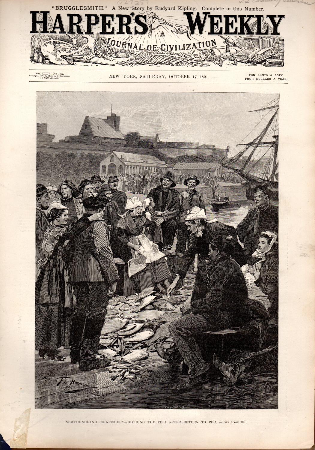 ENGRAVING: "Newfoundland Cod-Fishery". engraving from Harper's Weekly ...