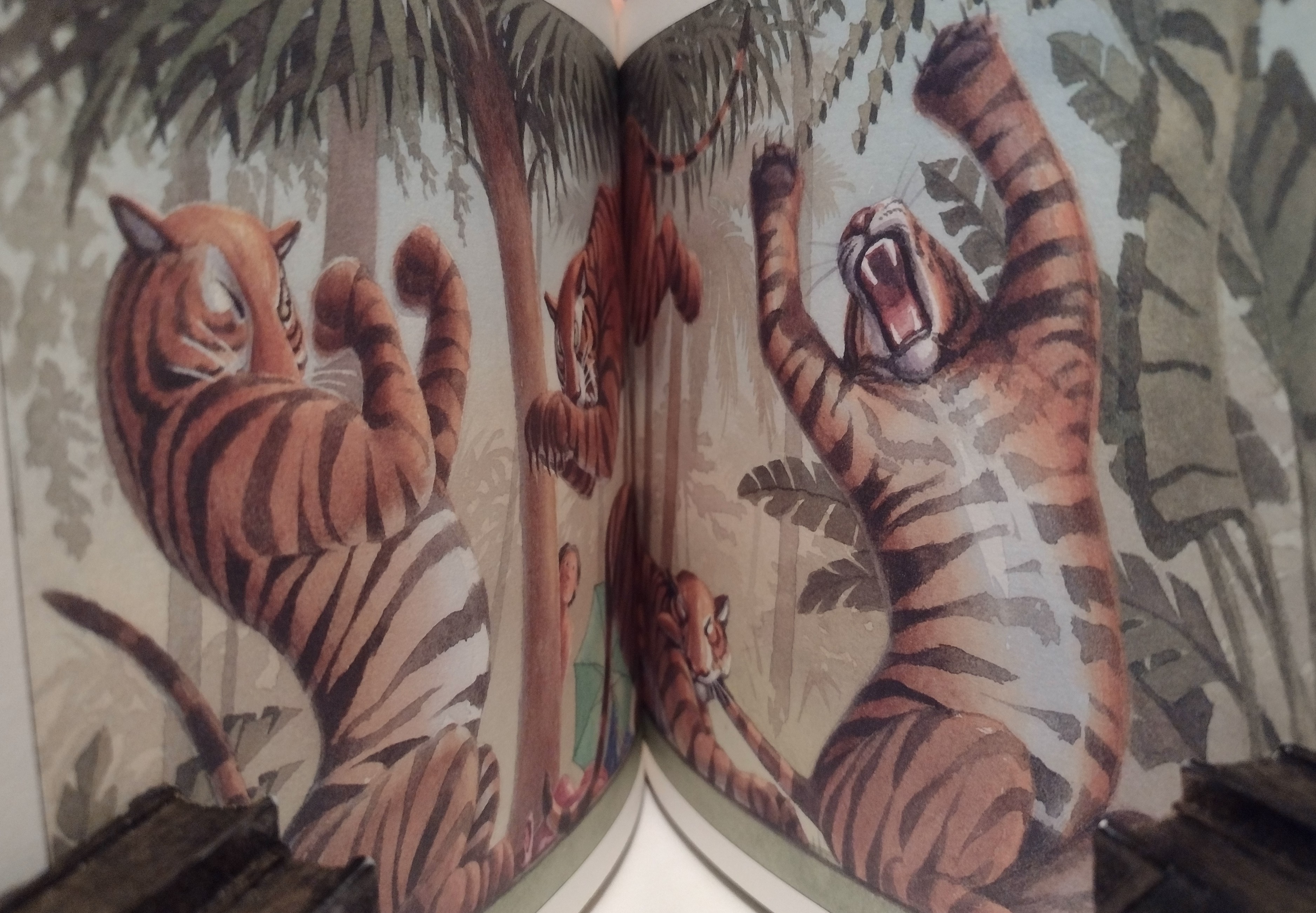 The Story of Little Babaji // FIRST EDITION // by Bannerman, Helen ...