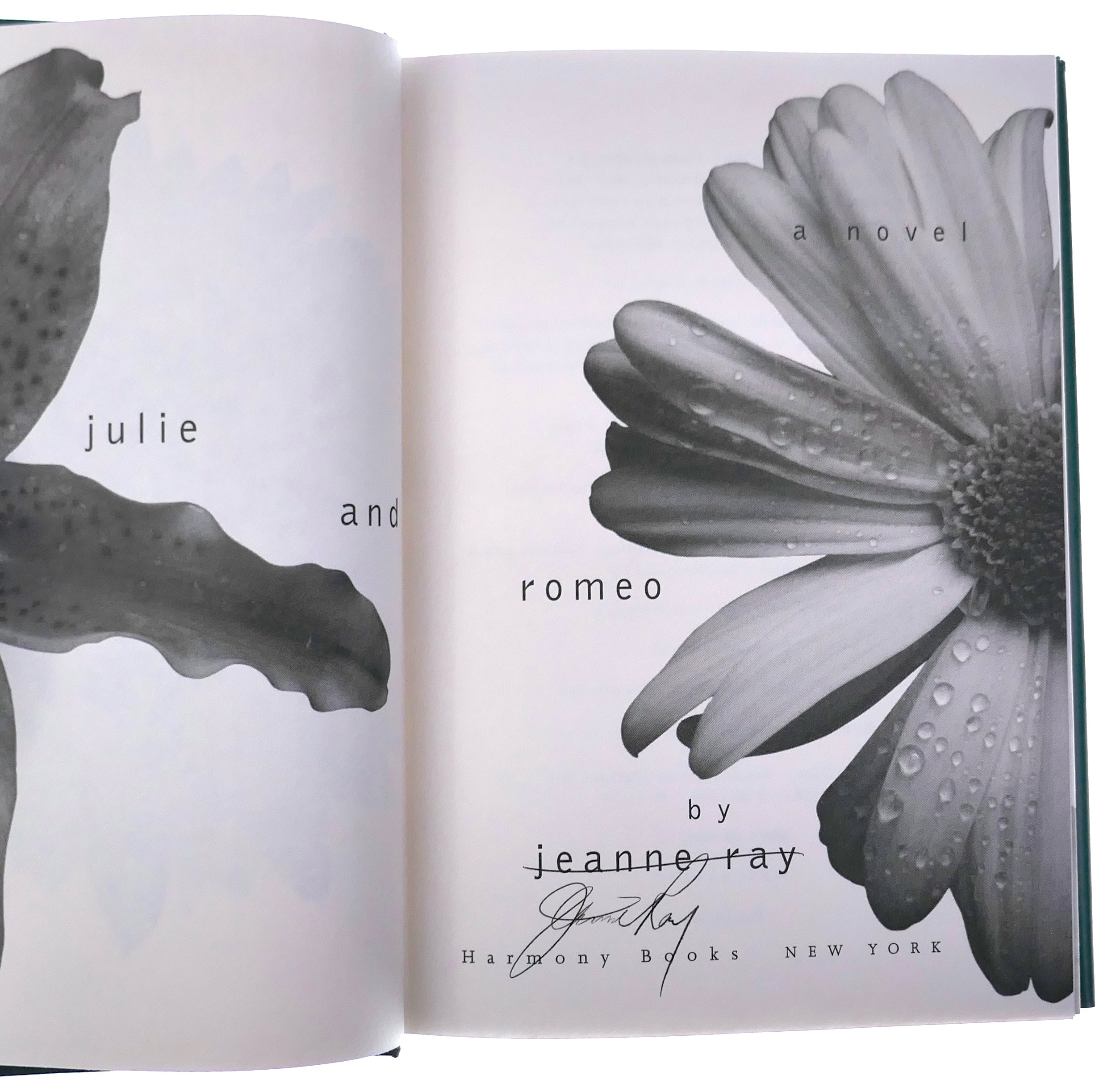 Julie and Romeo by Ray, Jeanne: Fine Hardcover (2000) First Edition ...