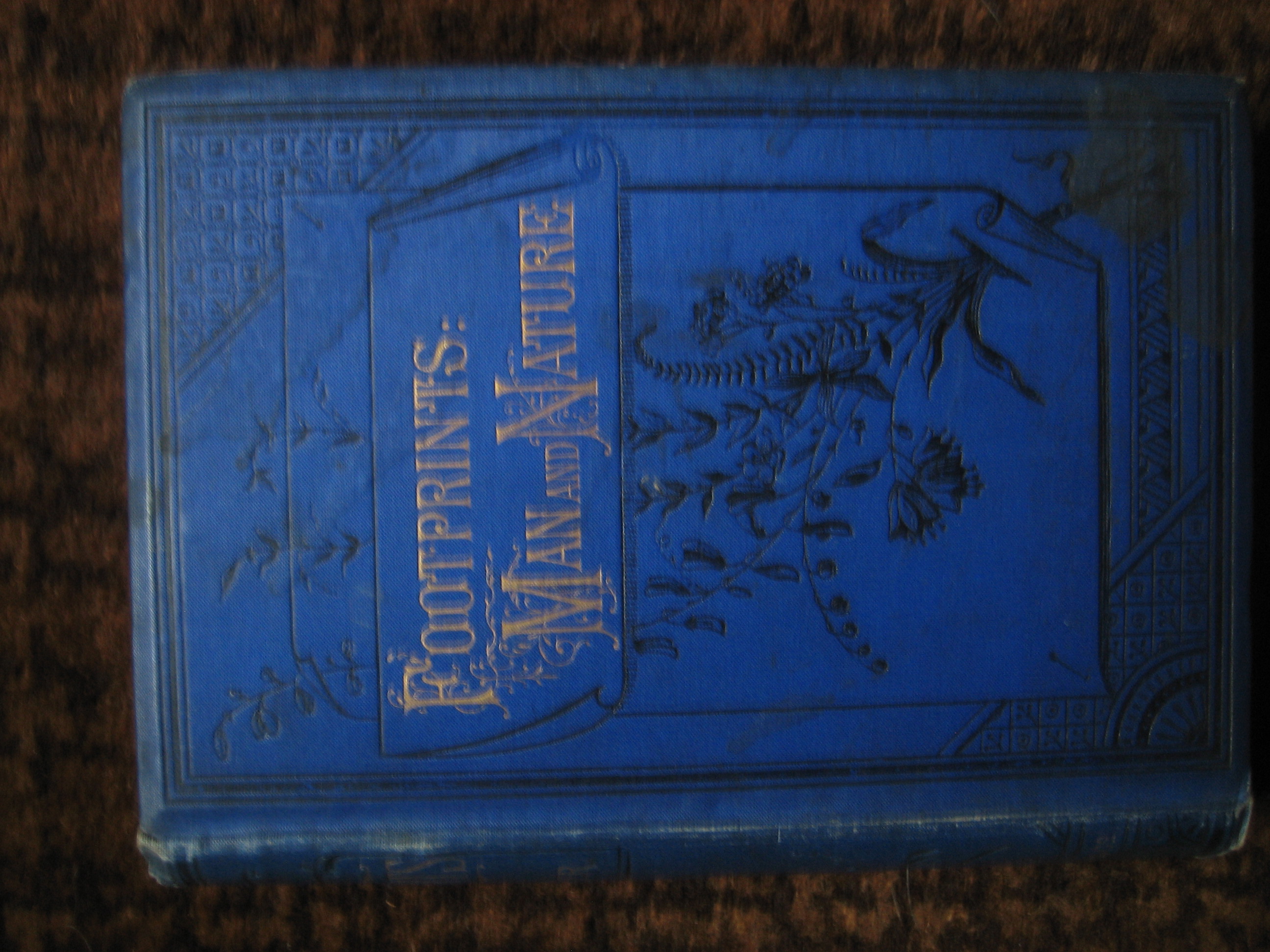 Footprints: Nature seen on its Human Side by TYTLER Sarah, pseud KEDDIE ...